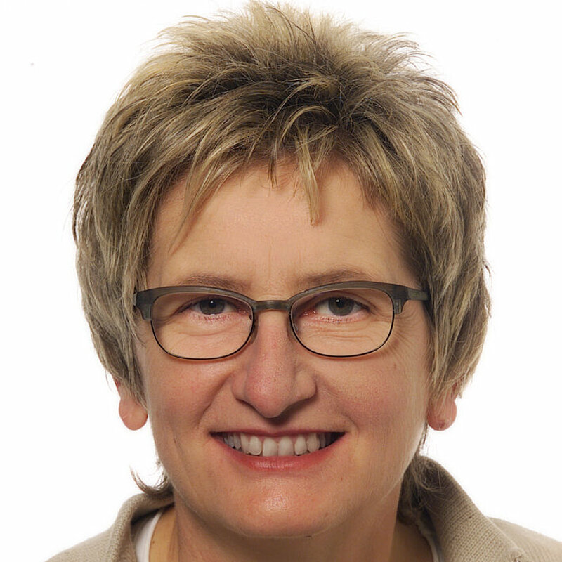 Systemische Beratung: Aus- und Weiterbildung: Therapie